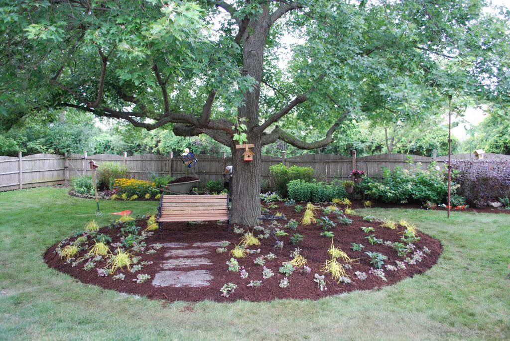Converting a bare lawn to a beautiful plant bed focal point: | Laura ...